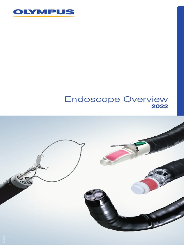 EN0429551UK_EndoscopeOverview_2022_105x210_EN_07_02_2022-1 | PDF ...
