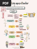 Guía de Férulas de Medicina Deportiva EMRA | PDF | Mano | Codo