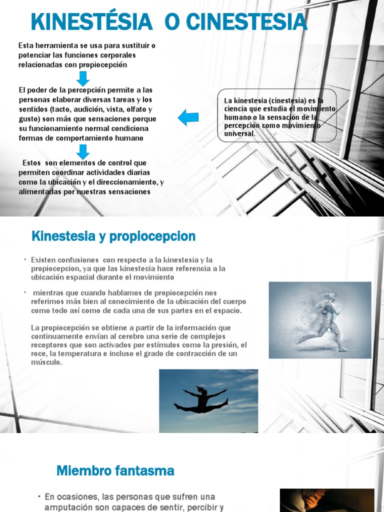 Diferencias entre kinestesia y cinestesia | PDF | Percepción | Cognición