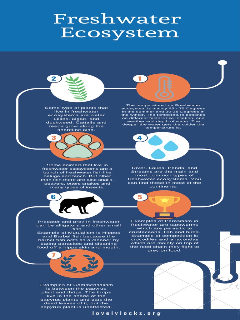 Freshwater Ecosystems: Exploring Temperature, Habitats, Species ...