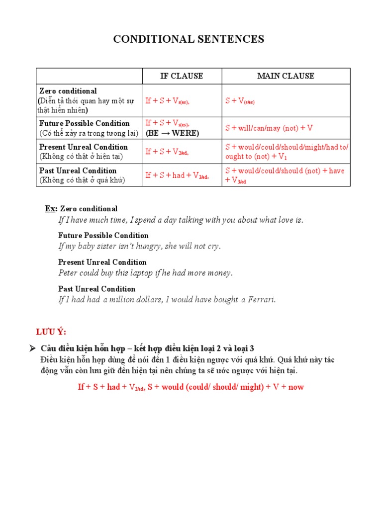 Conditional Sentences | PDF