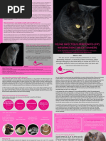 DMC Full Form in Medical, What Does DMC Stand For | PDF | Medical ...