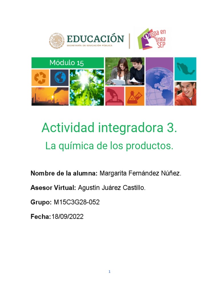 Actividad Integradora 3 | PDF