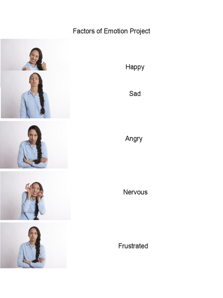 Factors of Emotion Project | PDF