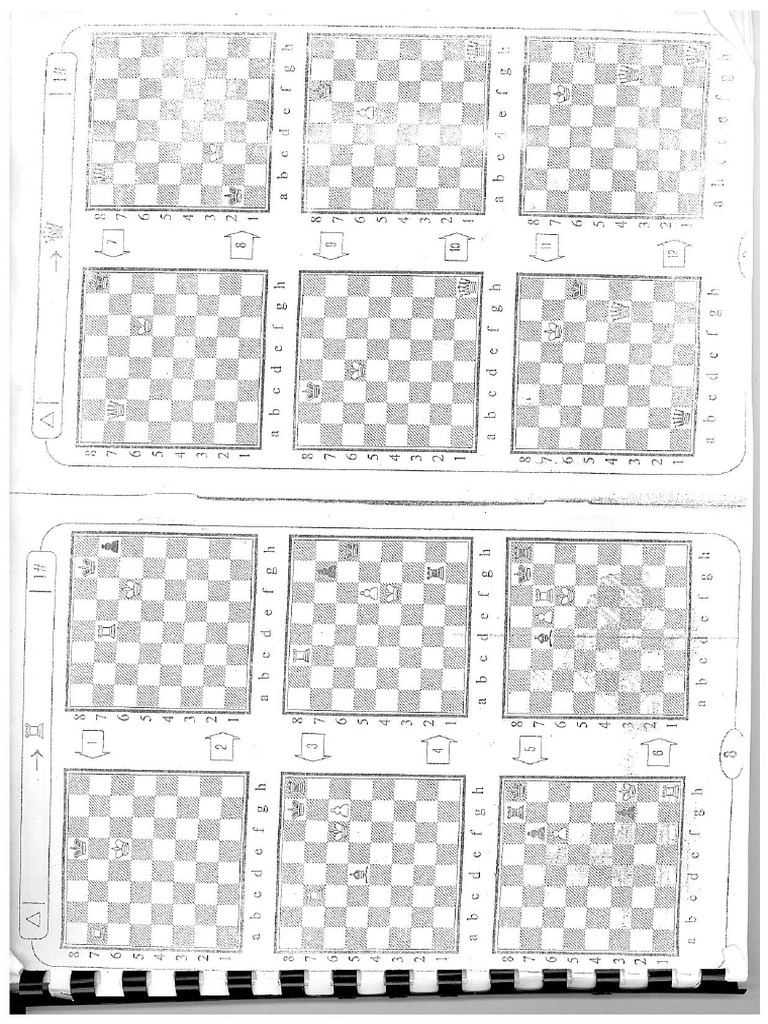 Carte Sah Combinatii Mat in 1 | PDF