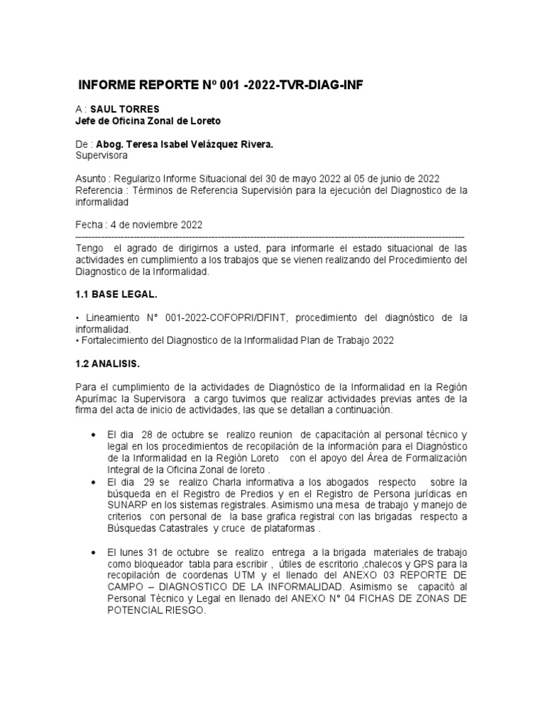 Informe #001 | PDF