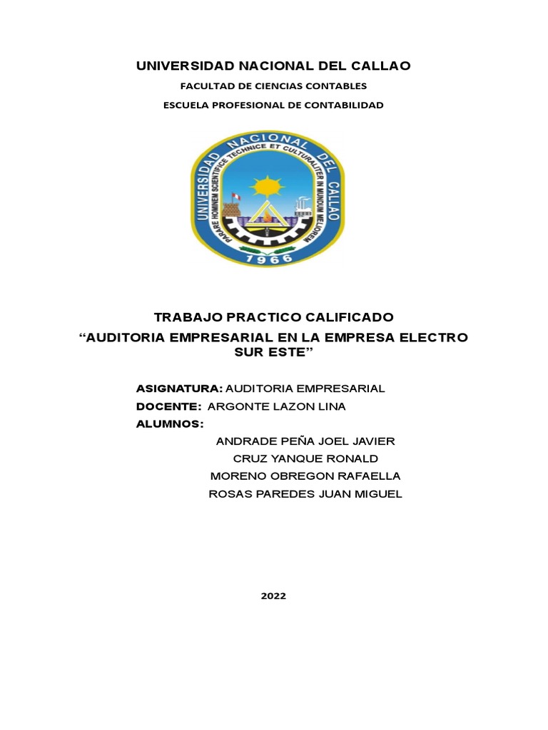Auditoria Empresarial Empresa Electro Sur Este S.A.A | PDF | Auditoría | Calidad (comercial)
