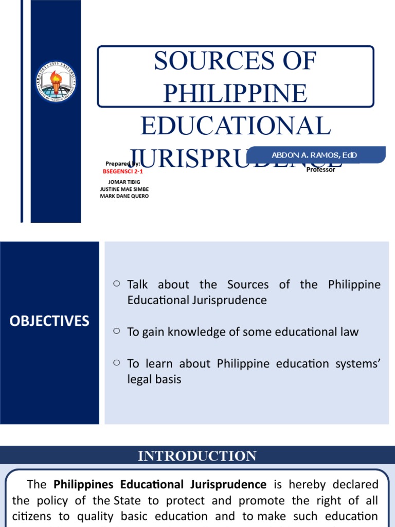 PROFESSION Report2.0 | PDF | Case Law | Jurisprudence