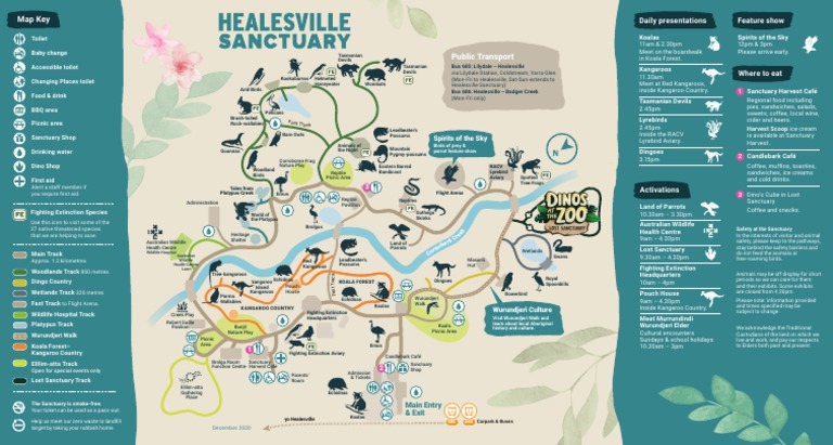 Healesville Sanctuary Visitor Guide | PDF | Fauna Of Australia | Koala