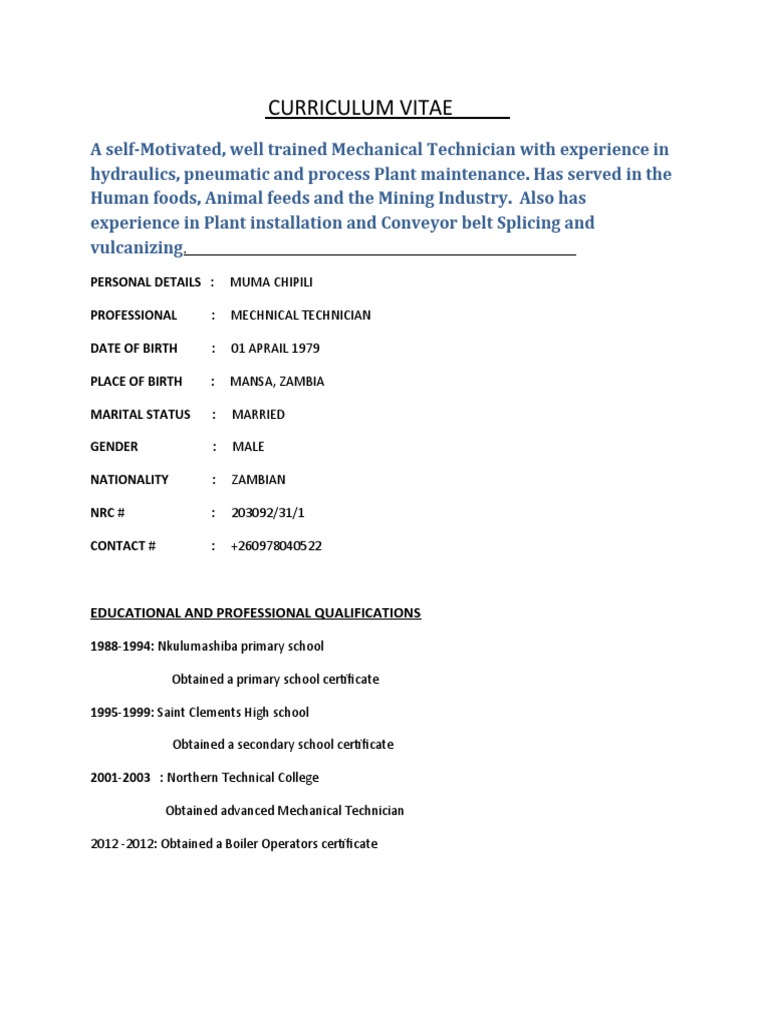 Curriculum Vitae | PDF | Boiler | Pump
