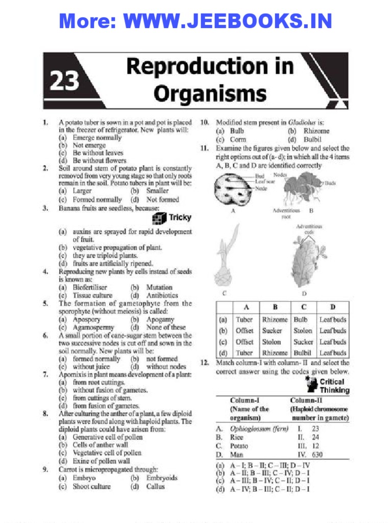 Objective - Biology - Chapter - Wise - MCQs - For - NTA - NEET-min (1) - Compressed-Compressed | PDF