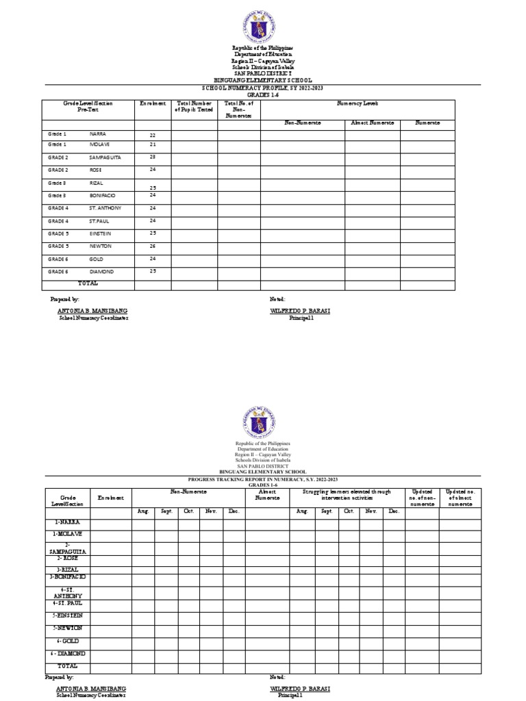 Binguang Es Progress Tracking in Numeracy | PDF