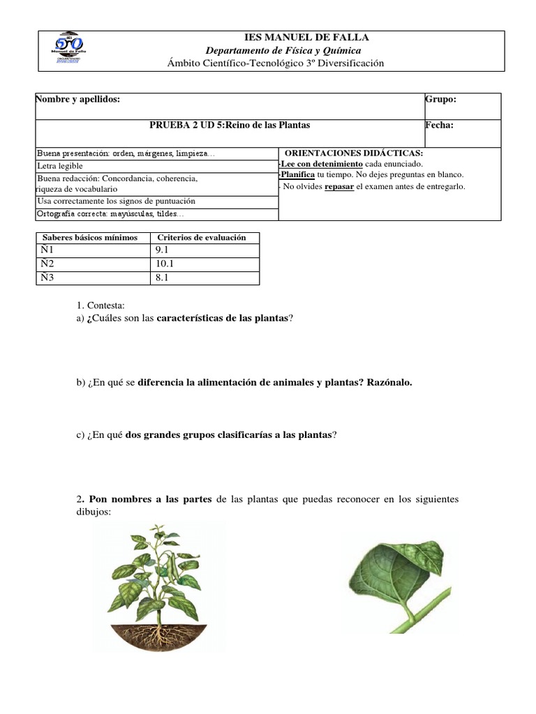 Examen Reino de Las Plantas Tema 5 Final - Puesto | PDF | Plantas ...