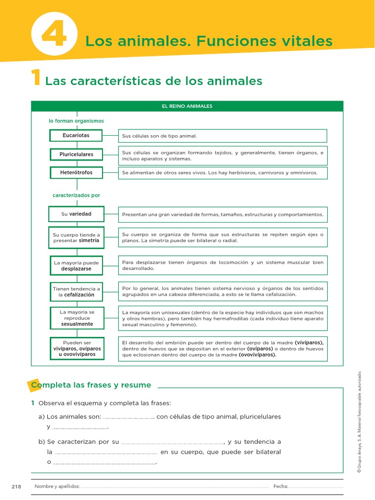 Los Animales. Funciones Vitales PDF | PDF | Respiración | Branquia
