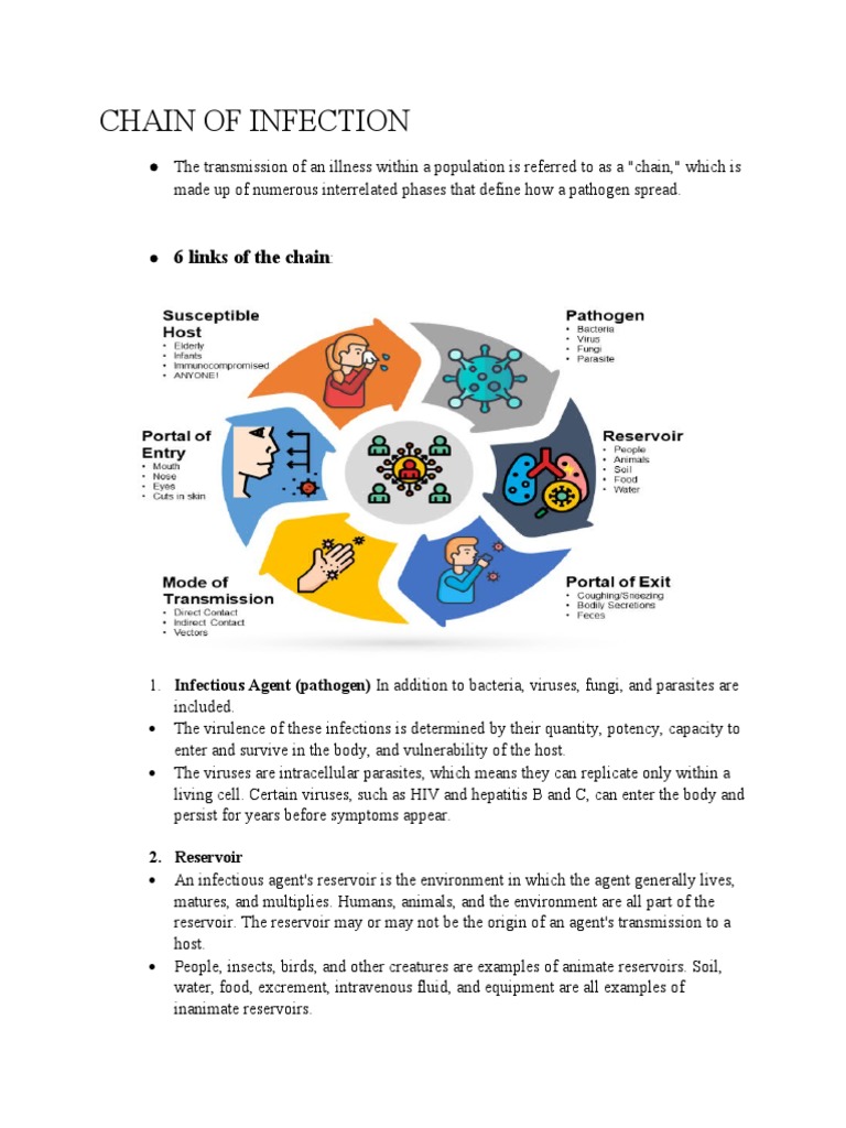 Chain of Infection | PDF | Infection | Pathogen