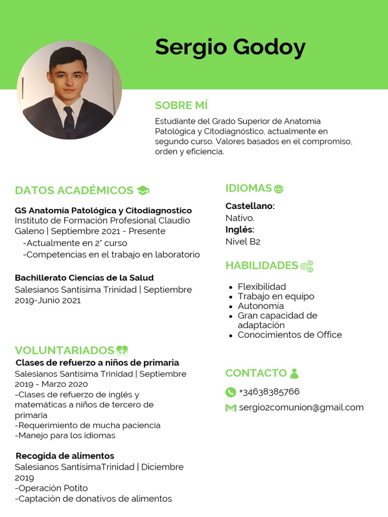 CV Sergio | PDF