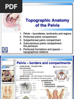 Anatomy Lecture 12 - Anatomic Topographic Regions - Pelvis | PDF ...