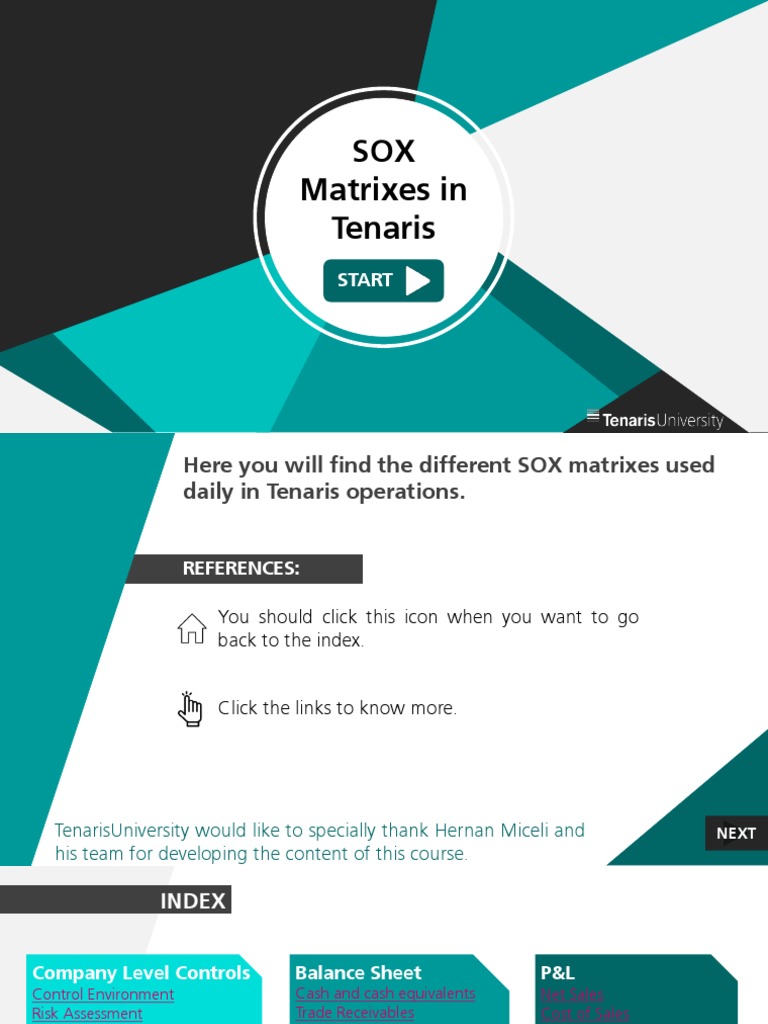 SOX Matrixes in Tenaris: Start | PDF | Internal Audit | Audit