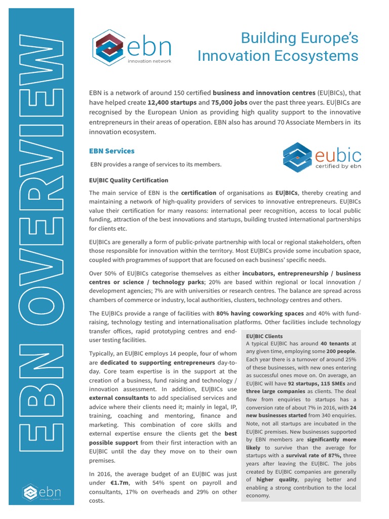 EBN Services | PDF | Business Incubator | Startup Company