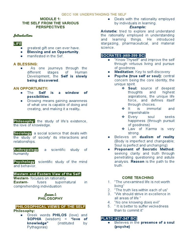 Understanding The Self | PDF | Socialization | Soul