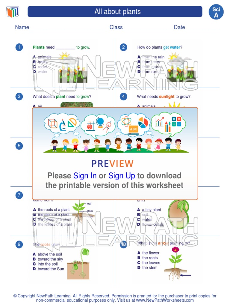 Worksheet Science Grade 1 All About Plants 0 | PDF | Environmental Law ...