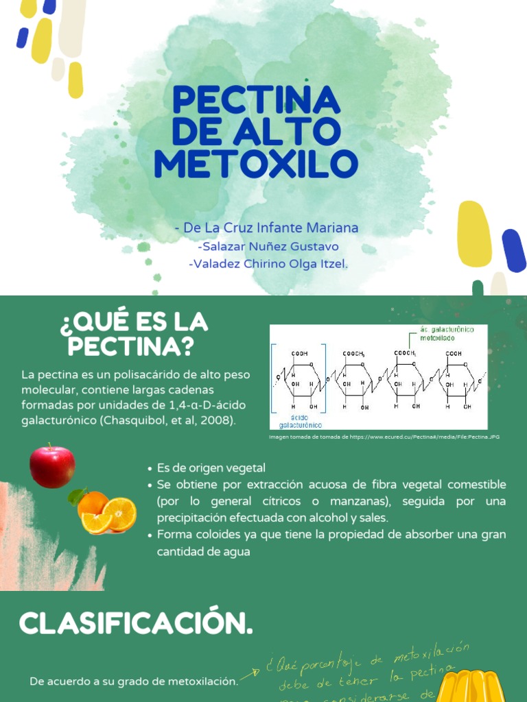 Pectina de Alto Metoxilo: Propiedades y Gelificación | PDF | Ph | Ácido