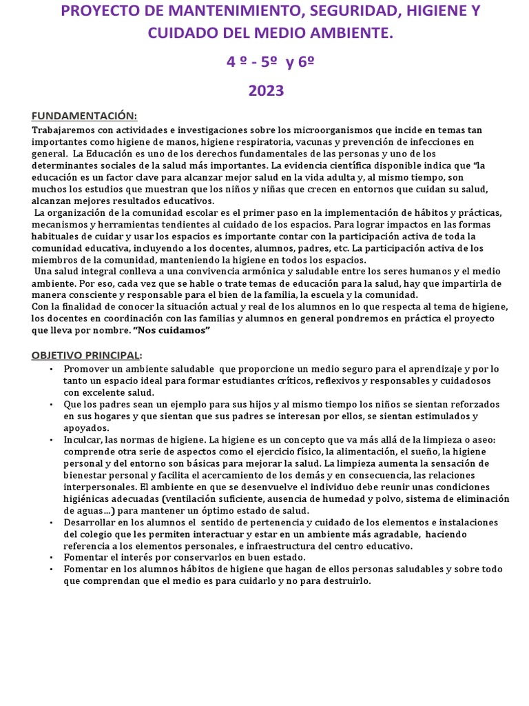 Proyecto de Mantenimiento e Higiene Segundo Ciclo 2023 | PDF | Higiene | Enseñando