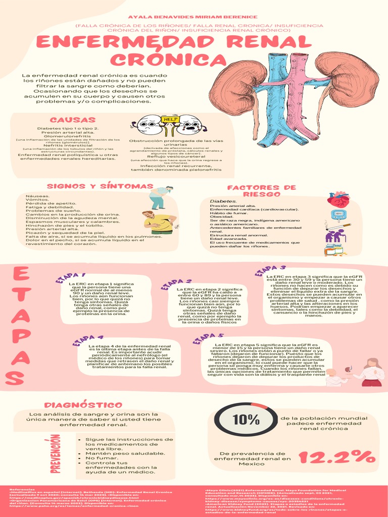 Enfermedad Renal Crónica-1 | PDF | Riñón | Enfermedad renal crónica