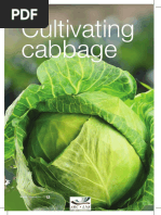 Zimbabwe Crop Planting Calendar | PDF | Cooking, Food & Wine | Science ...