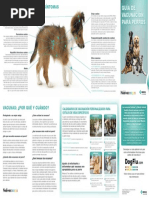 Pfizer Vanguard SP Final | PDF | Vacunas | Virus