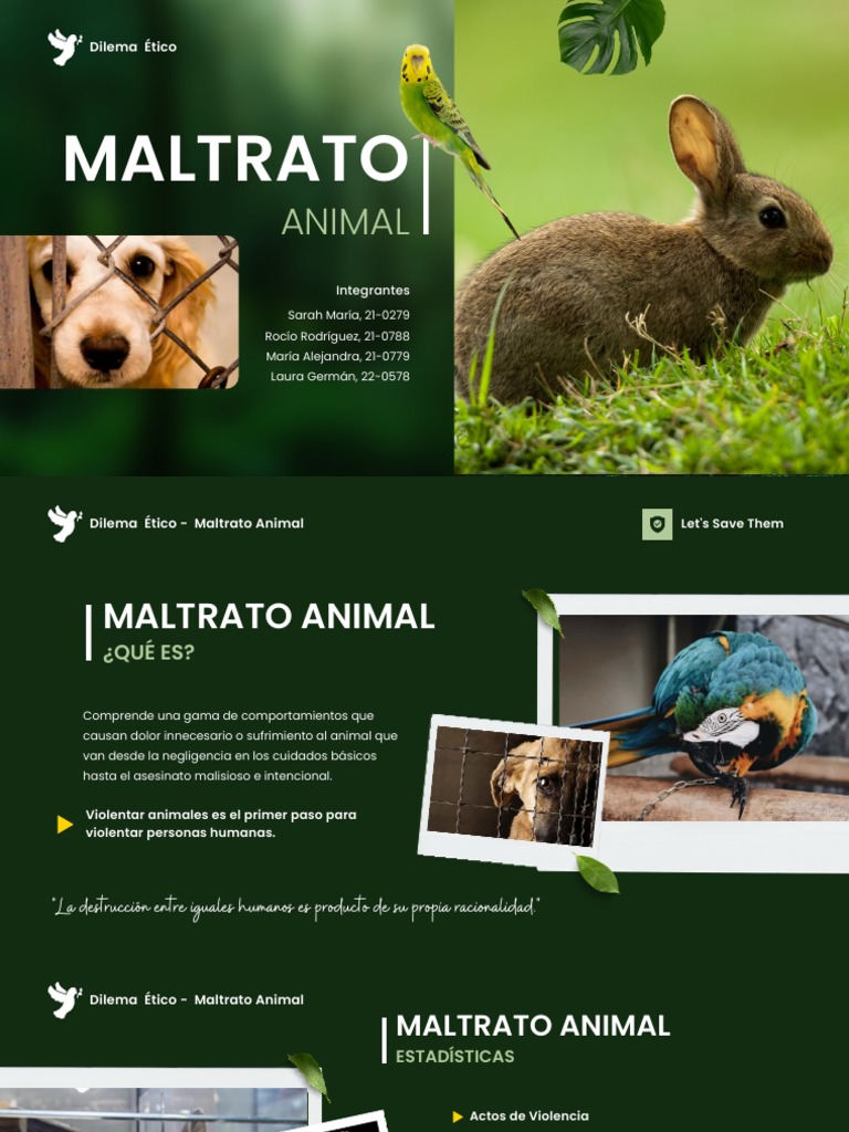 Dilema Ético - Maltrato Animal PDF | PDF | Crueldad hacia los animales ...