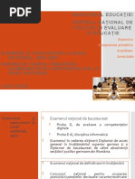 D Competente Digitale 2024 Fisa A Var Model | PDF