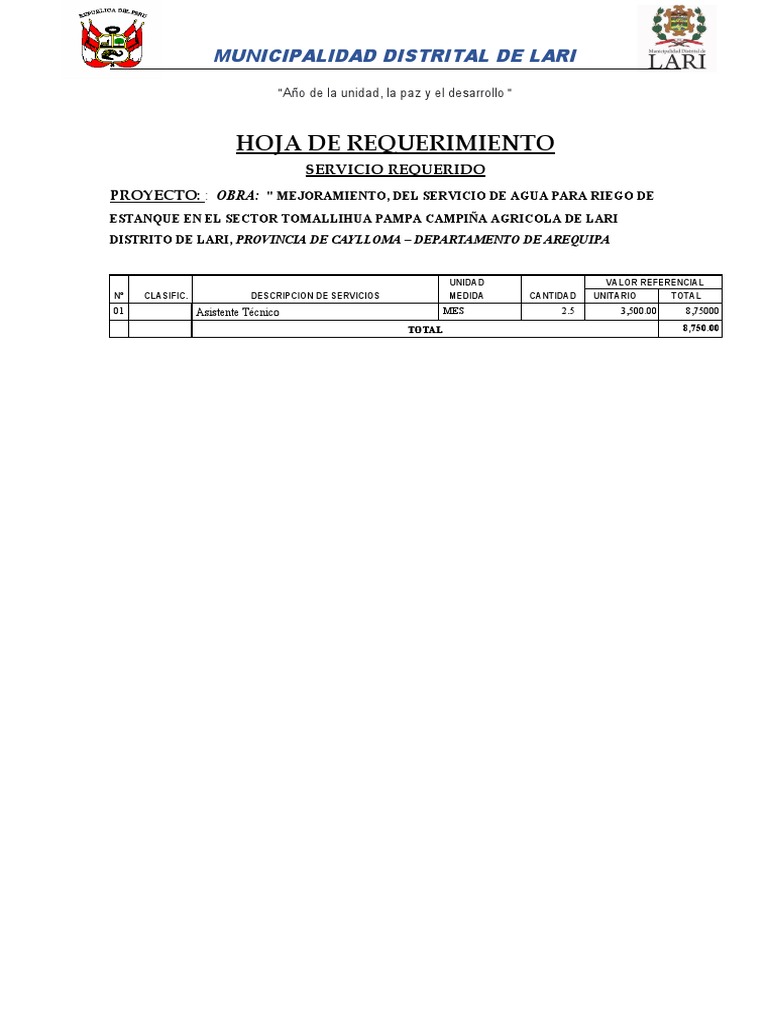 TDR DE SERVICIO DE Asistente Tecnico | PDF