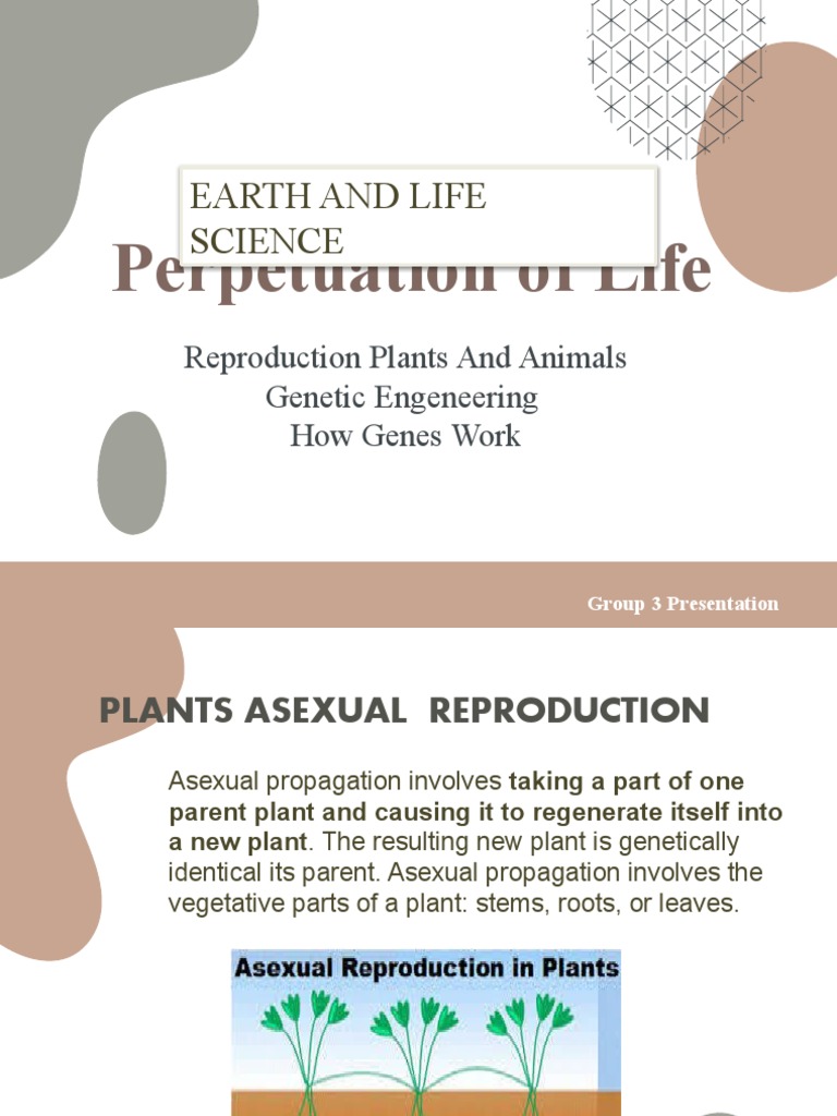 Perpetuation of Life | PDF | Plant Reproduction | Dna