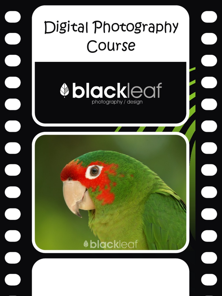 Comprehensive Digital Photography Course | PDF | Exposure (Photography ...