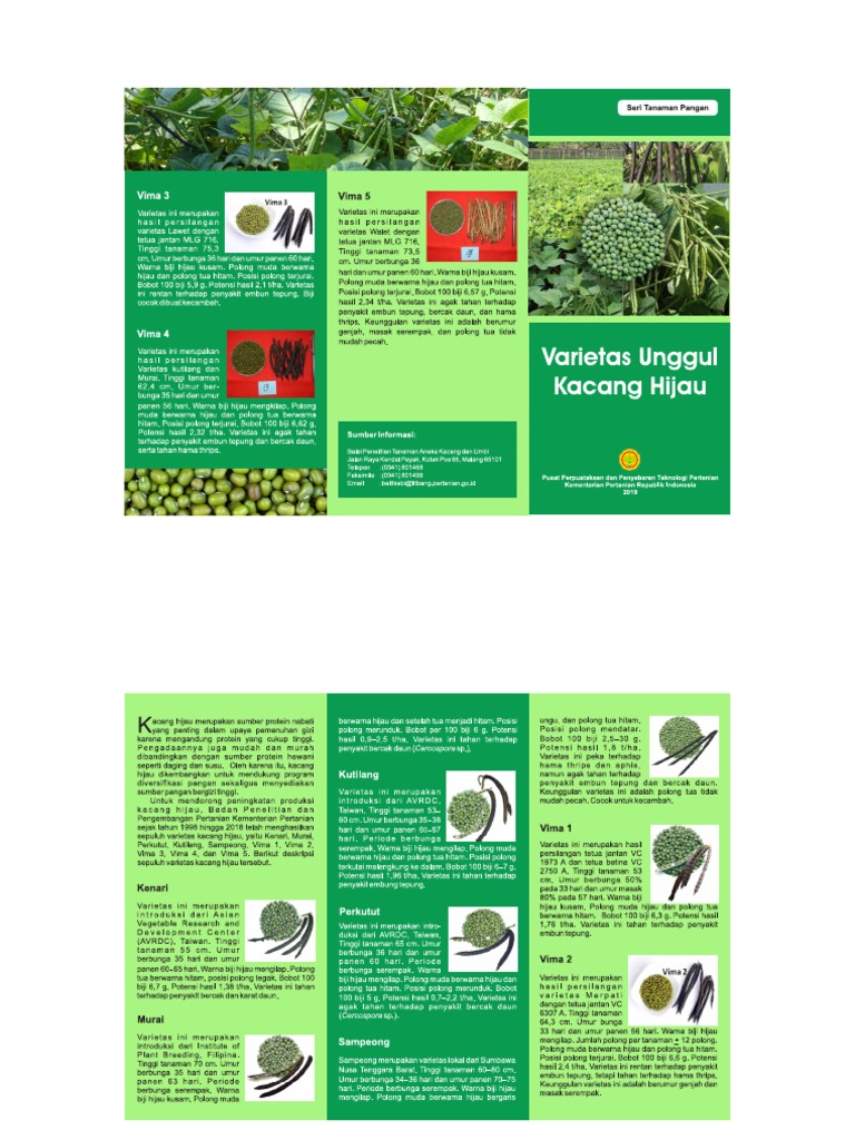 Varietas Unggul Kacang Hijau PDF | PDF