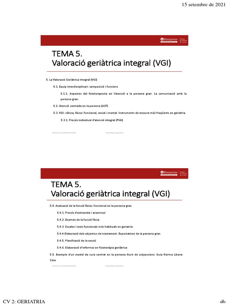 FG21 - 22 - Tema 5 - VGI PDF | PDF