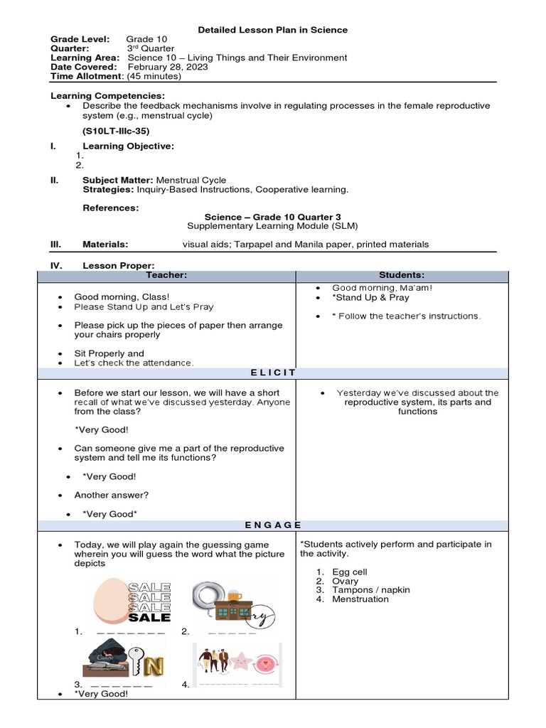 DLP - Menstrual Cycle | PDF | Menstrual Cycle | Human Reproduction