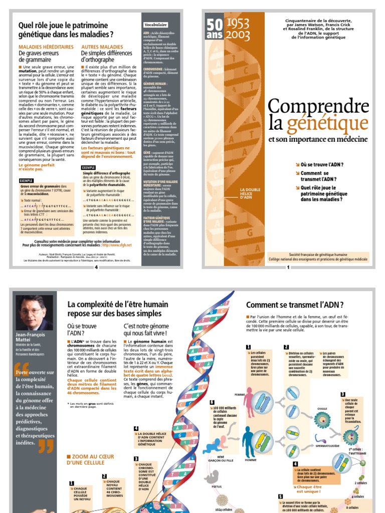 Comprendre La Genetique Et Son Importance en Medecine Brochure 1 | PDF ...