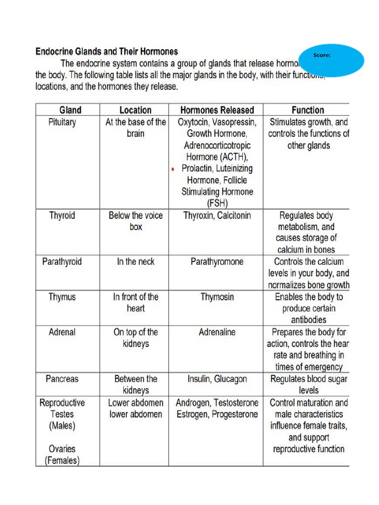 The Effects of Endocrine Dysfunction: Explaining Hormonal Imbalances ...