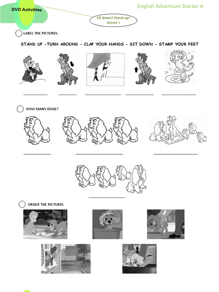 DVD Activities Starter A | PDF