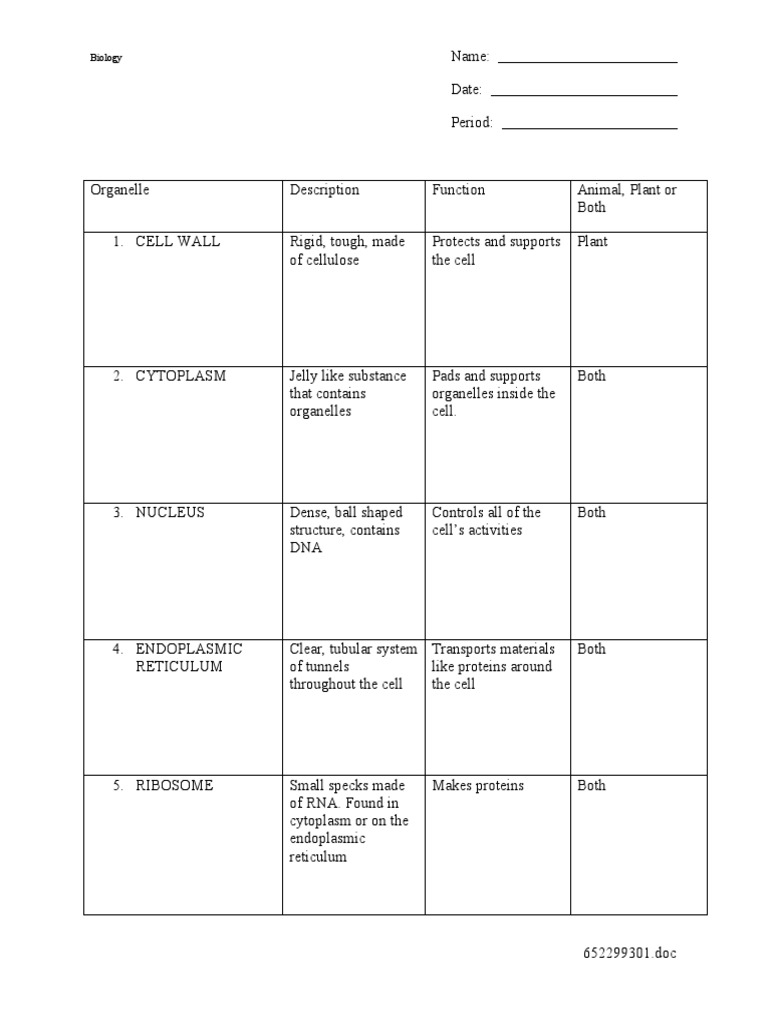 Cell Organelles and Functions Guide | PDF | Cell (Biology ...