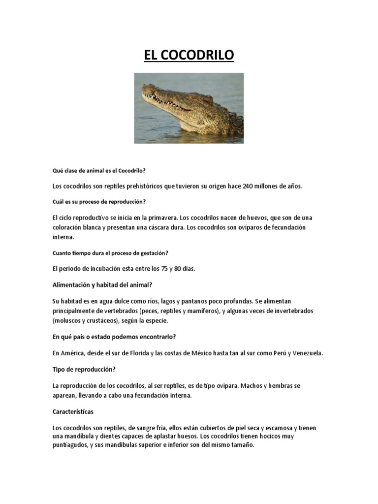 EL COCODRILO | PDF