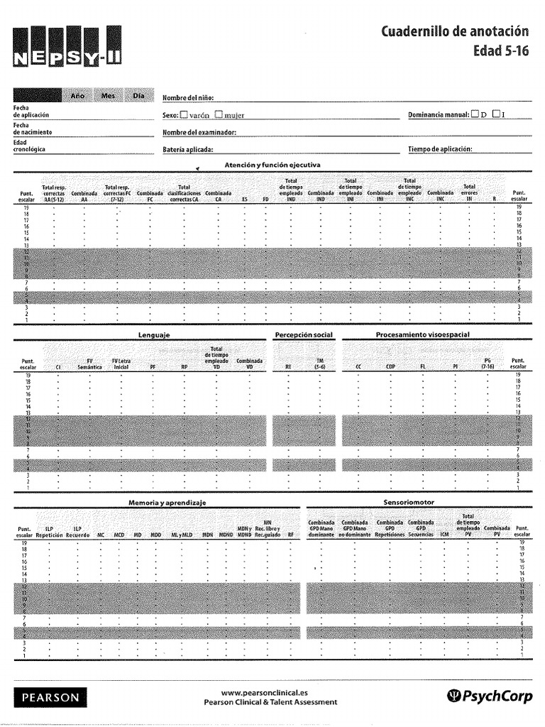 Nepsy-Ii Cuadernillo de Anotación 5-16 Años | PDF