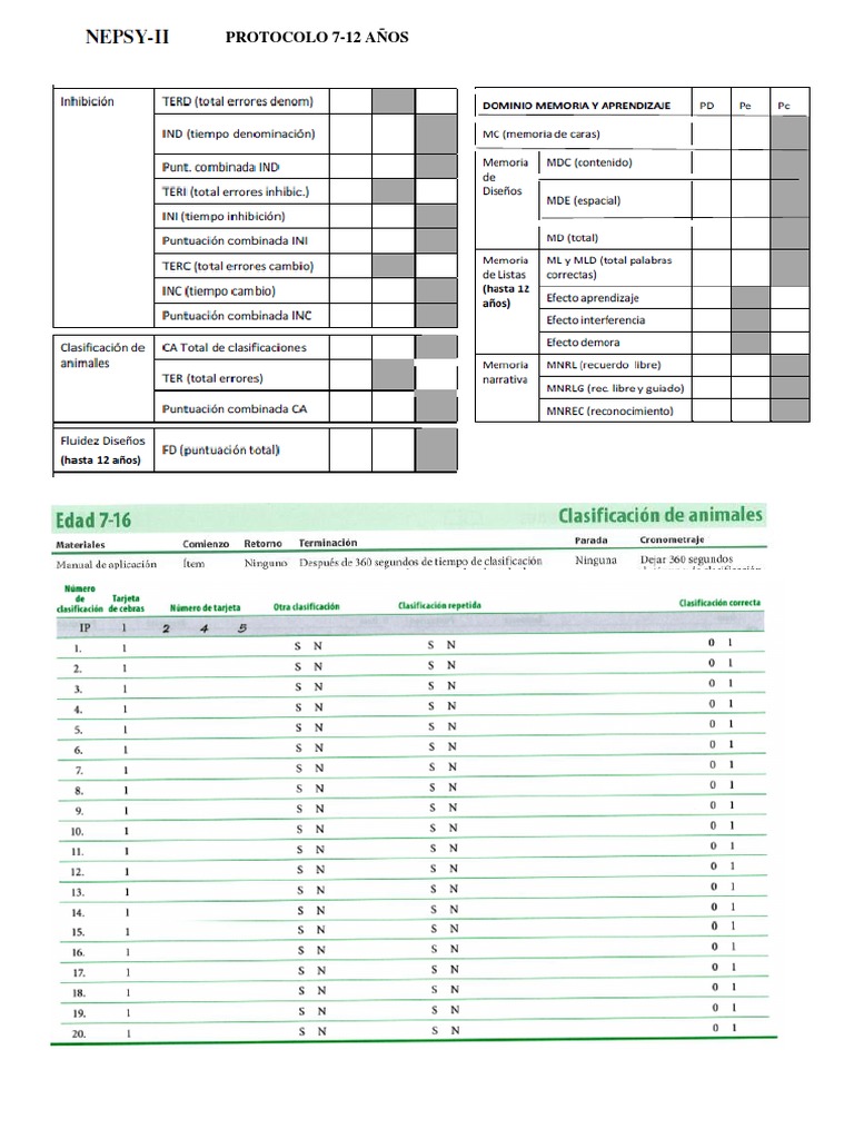 Nepsy Protocolo Básico 5-12 Años | PDF