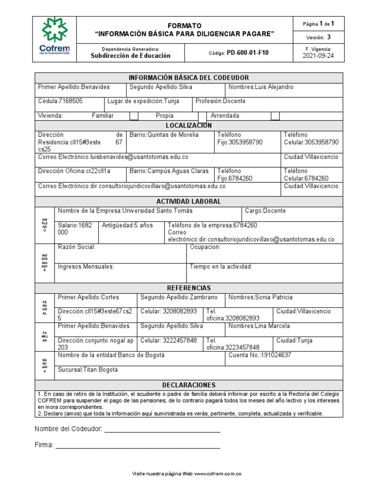 Formato Inf Codeudor | PDF