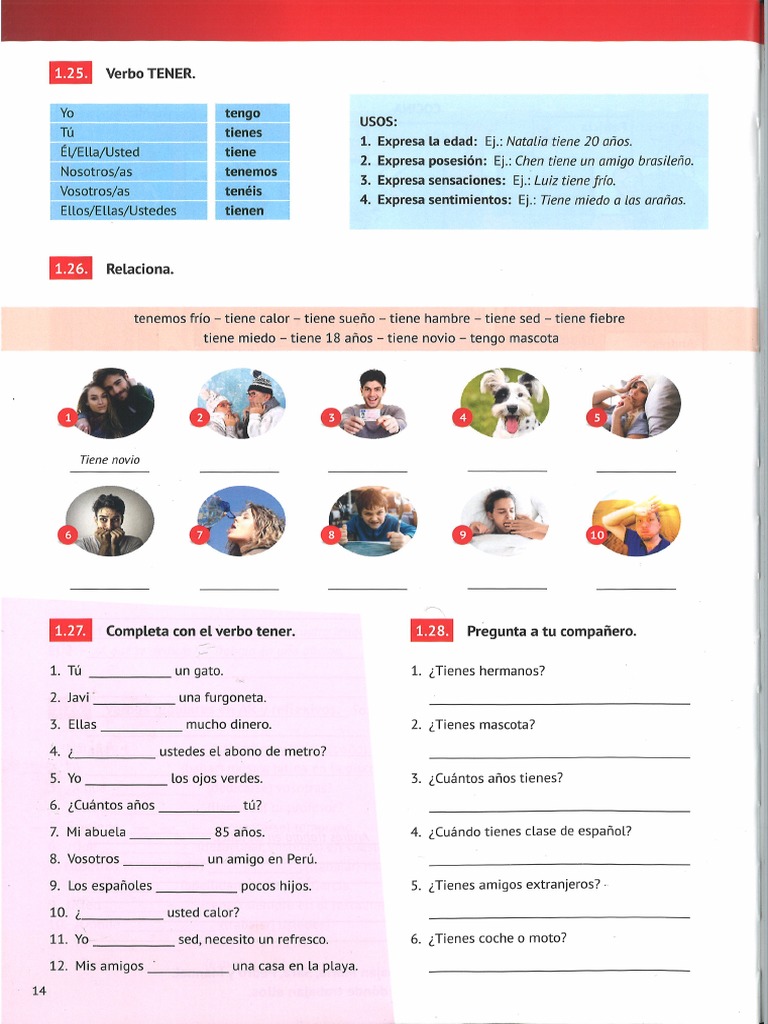 Verbo - Tener PDF | PDF