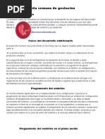 Solicitud de Baja Consular Española | PDF | Negocios | Finanzas y dinero