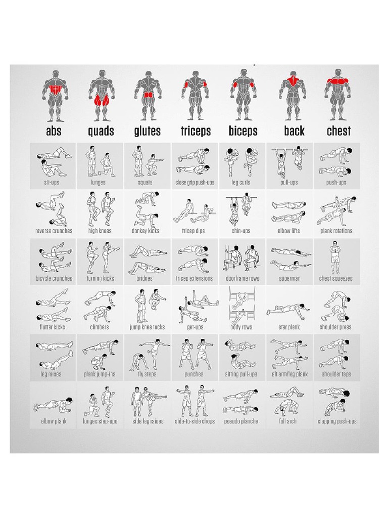full-body-workout | PDF