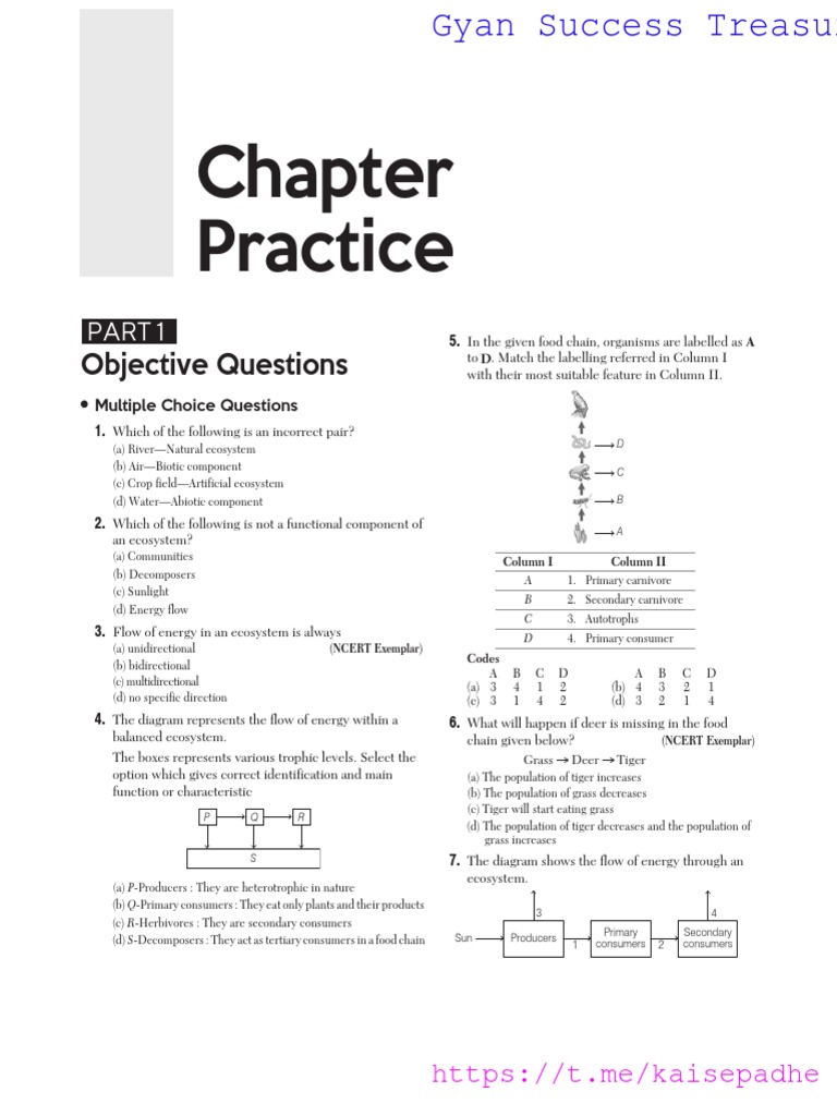 Our Environment Qns | PDF | Food Web | Biogeochemistry